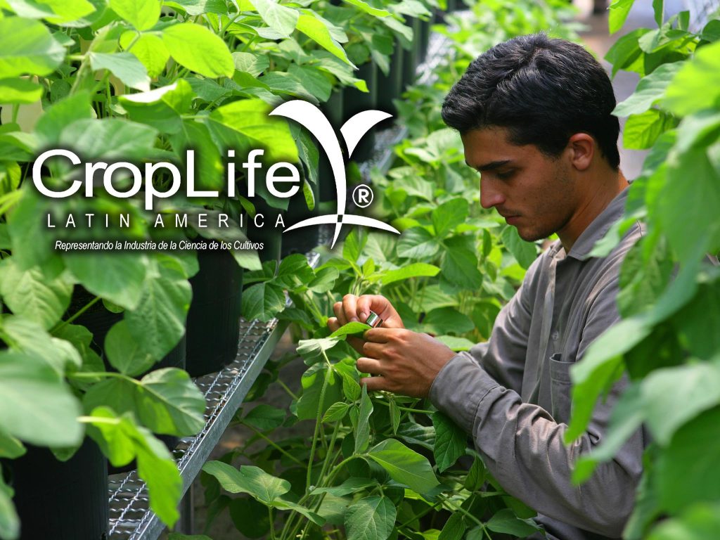 INTERNACIONAL – CURSOS GRATUITOS EN LÍNEA CROP LIFE LATIN AMERICA – Indesgua